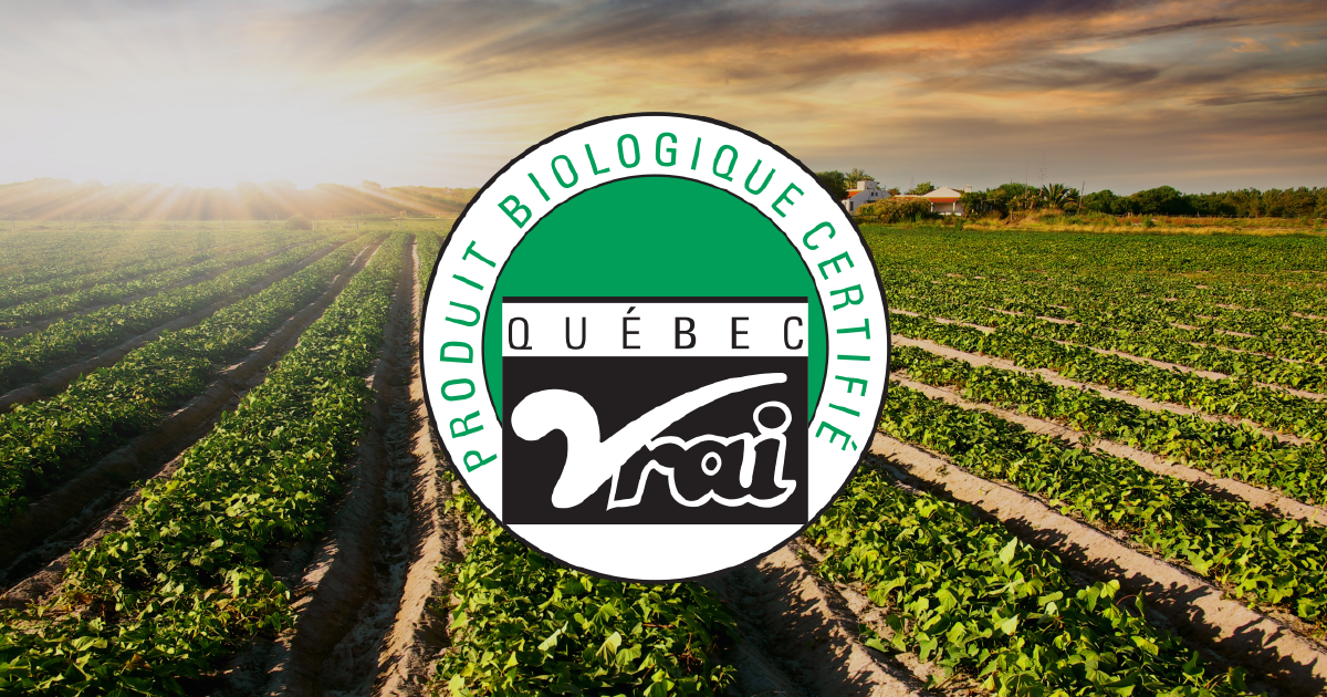 Québec Vrai | Documentation